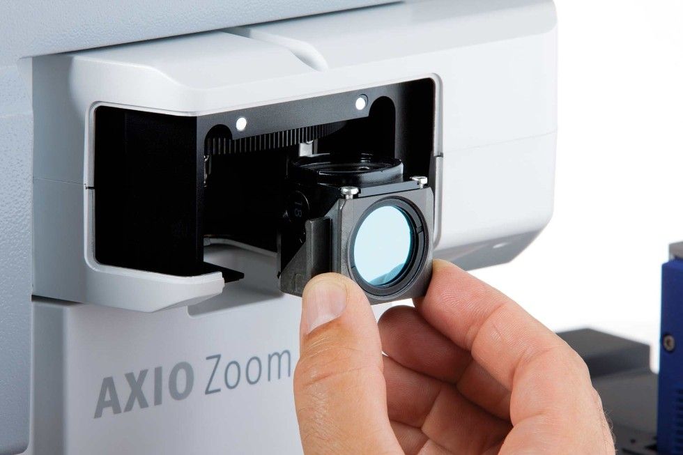 Axio Zoom.V16 用于生物学的显微镜 - 欧普泰逊光学科技