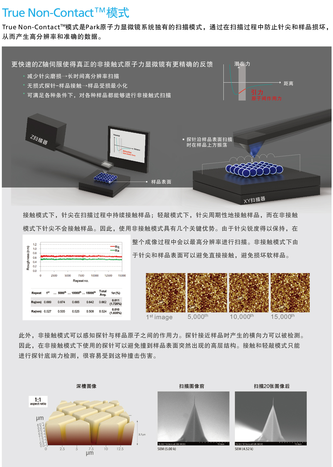 Park NX10原子力显微镜 - 欧普泰逊光学科技